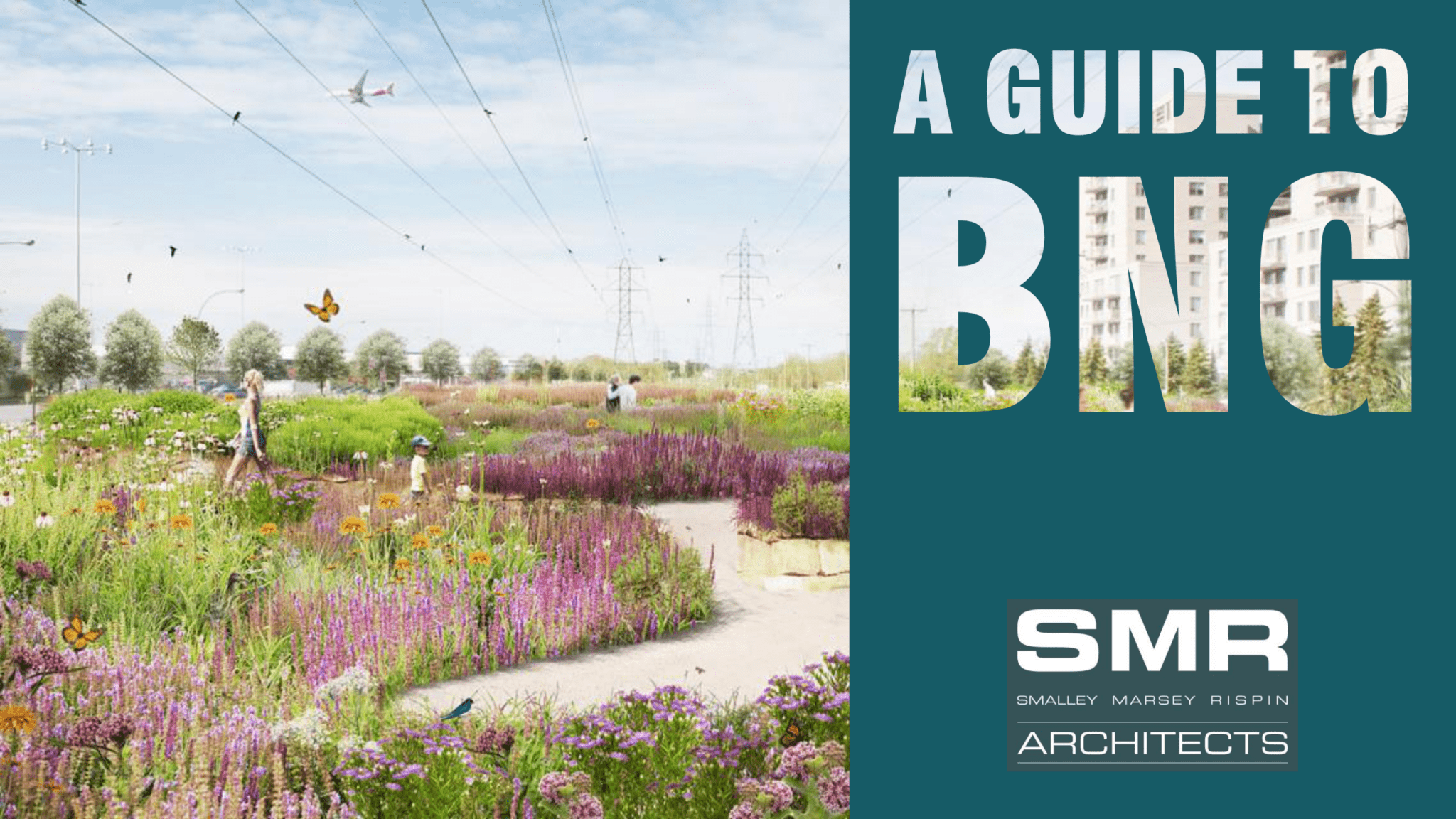 A Short Guide to Biodiversity Net Gain – SMR Architects